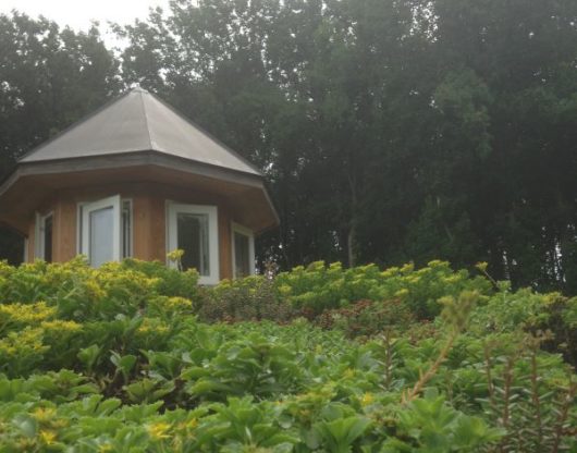 Natural Structures | Ecologia Design