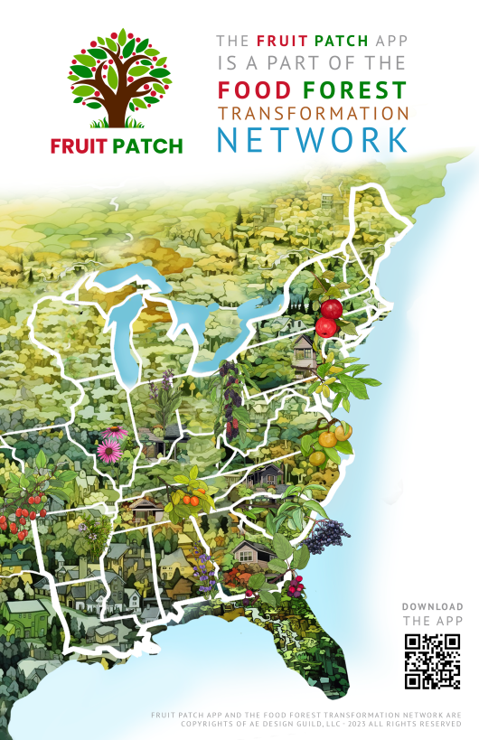 Introducing The Fruit Patch App | Ecologia Design