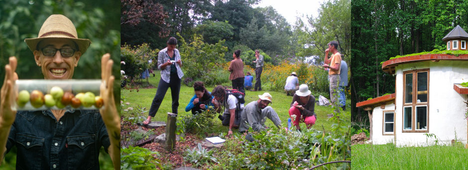 Ecologia Design | Edible & Ecological Landscapes
