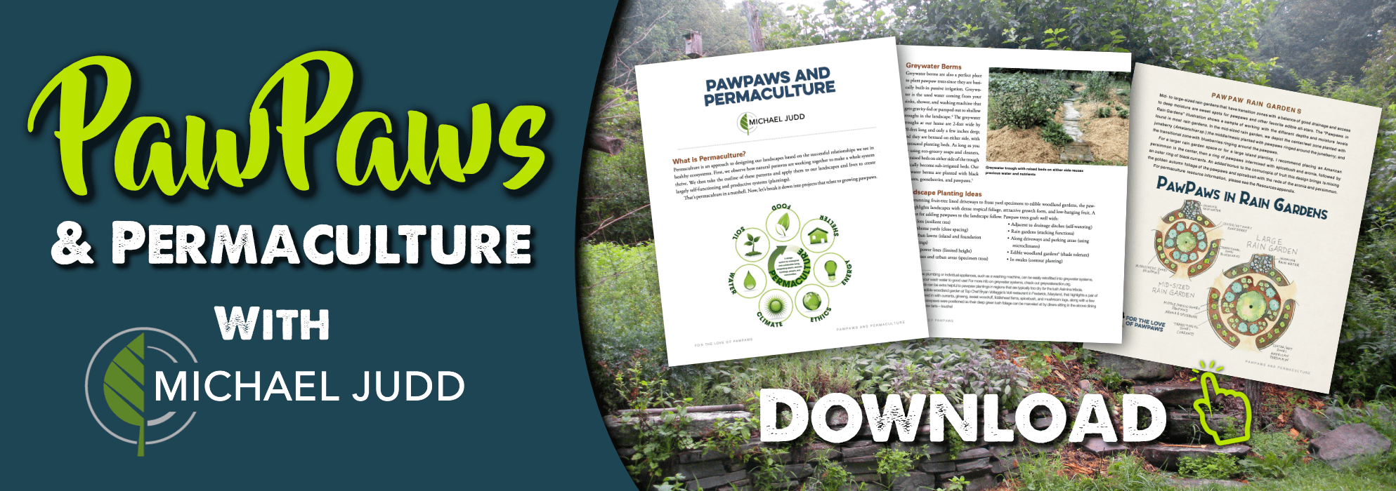 Pawpaws & Permaculture | Ecologia Design