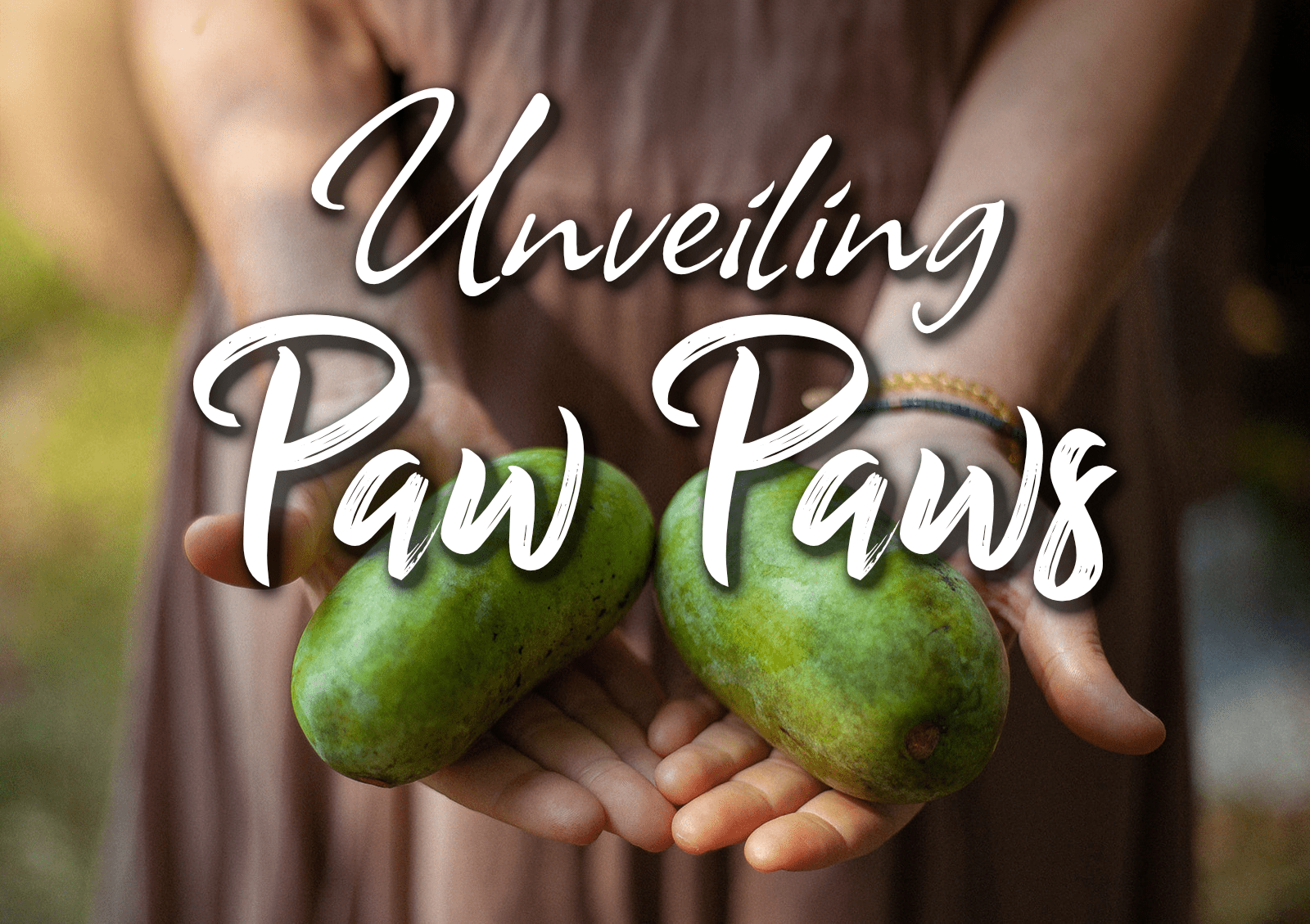 Unveiling Pawpaws: North America’s Tropical Delight | Ecologia Design