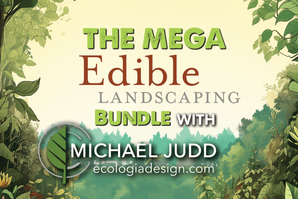Ecologia Design | Edible & Ecological Landscapes
